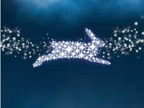 Compassionate gifts that give twice! - PETAPresents.org