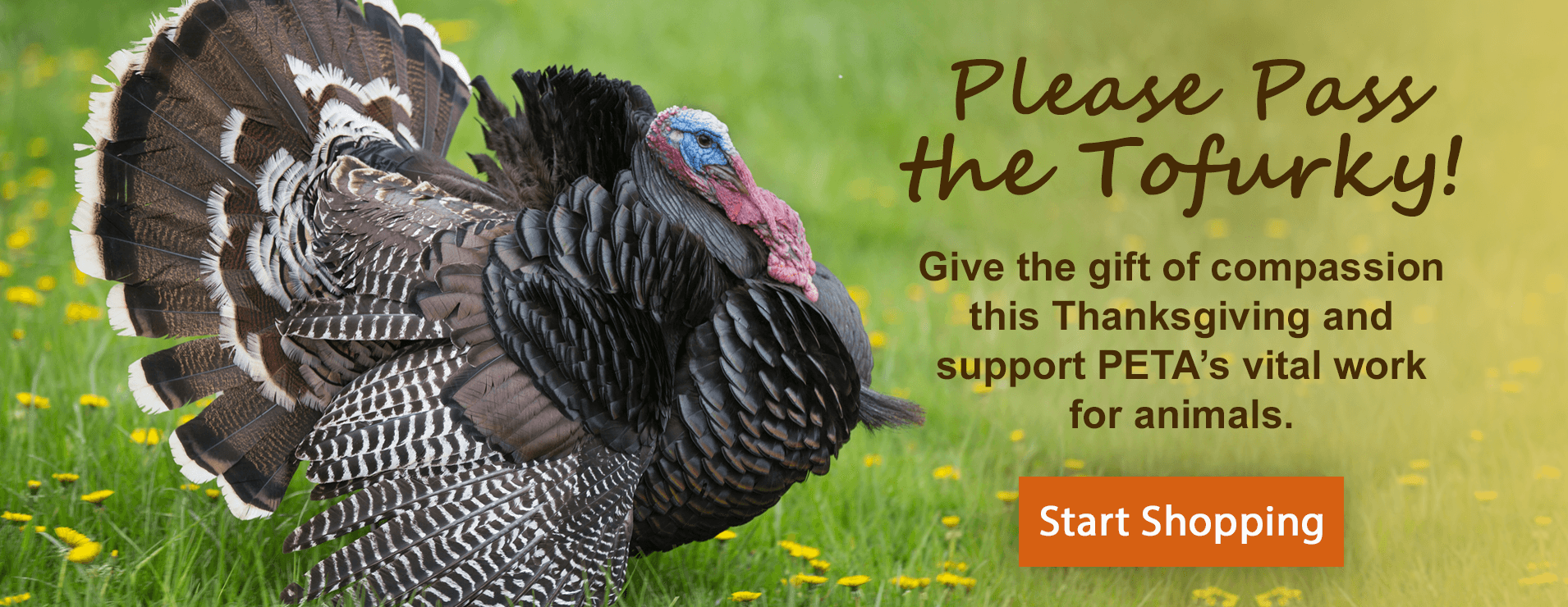 Compassionate gifts that give twice! - PETAPresents.org