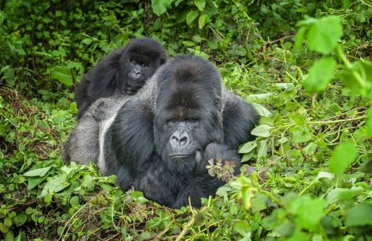 Happy Father’s Day!